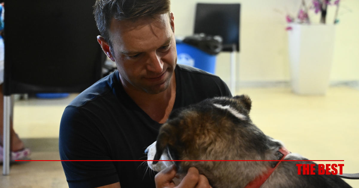 Το Dog’s Voice για την υπόθεση υιοθεσίας πυρόπληκτου σκύλου από τον Στέφανο Κασσελάκη