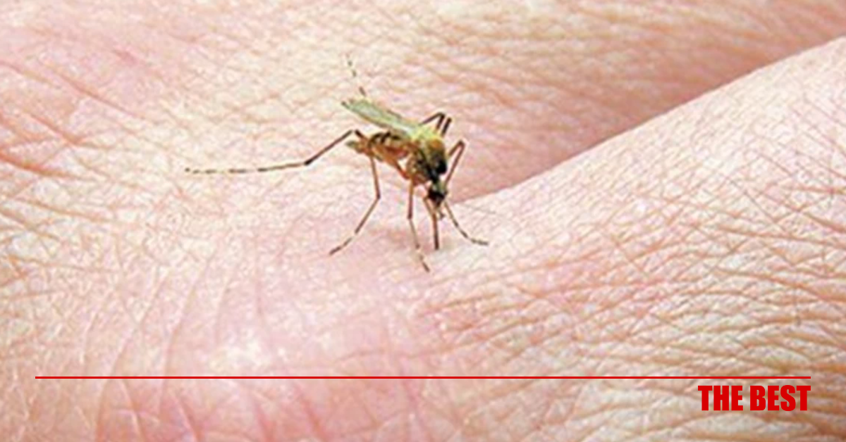 Mosquito Vision: Αυτή είναι η εφαρμογή που δείχνει σε ποιες περιοχές θα ...